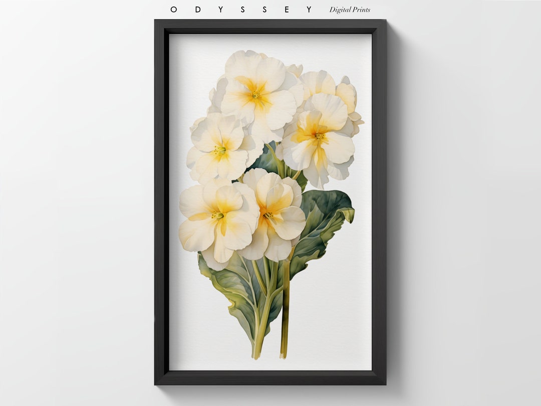 Printable Primrose Watercolour Wall Art Home Decor Kitchen Decor ...