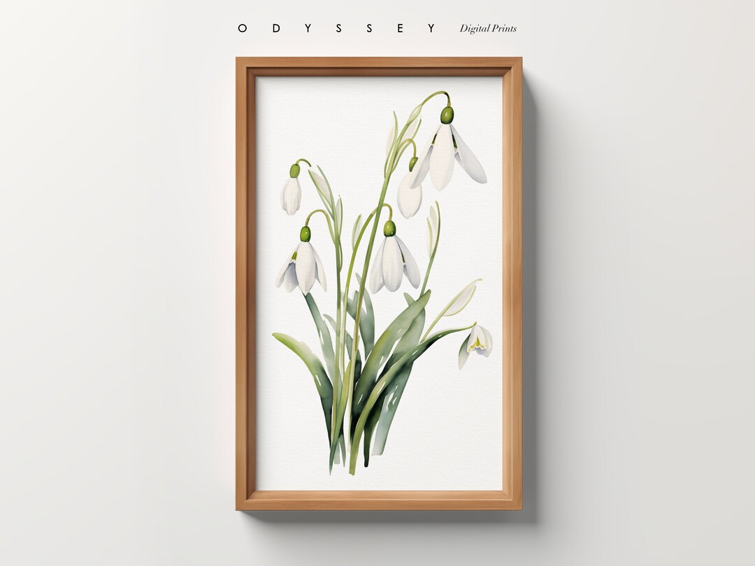 Printable Snowdrop Watercolour Wall Art Home Decor Kitchen Decor ...