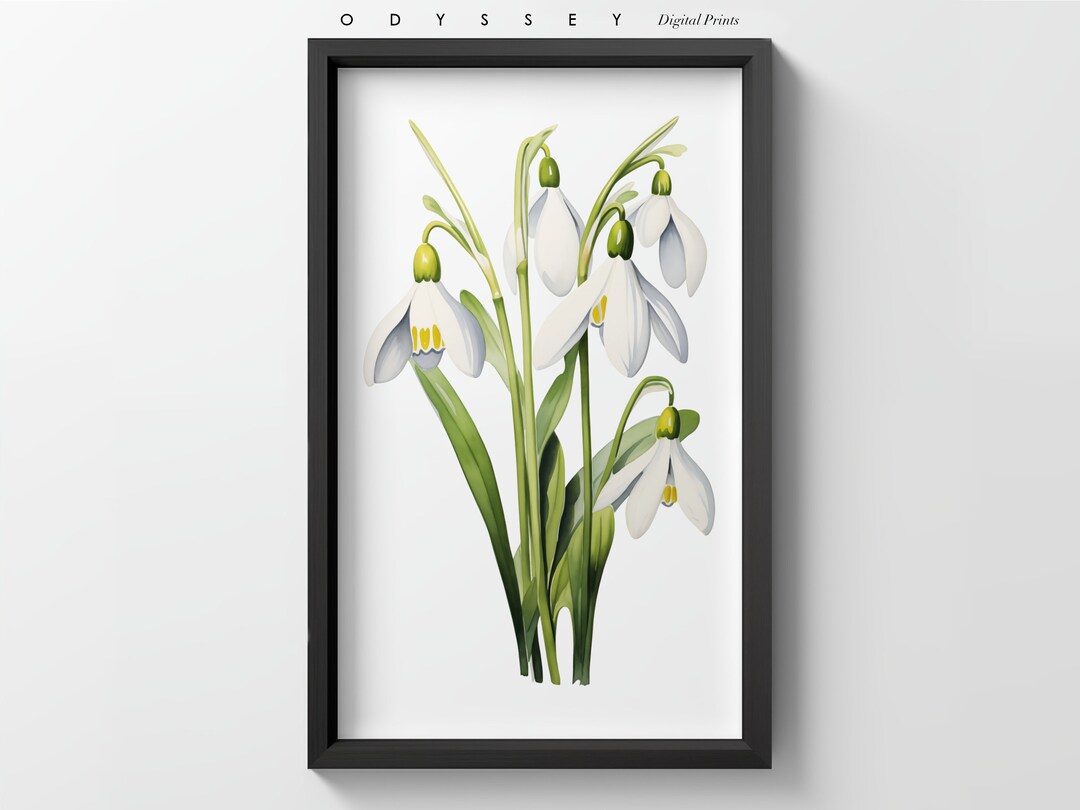 Printable Snowdrop Watercolour Wall Art Home Decor Kitchen Decor ...