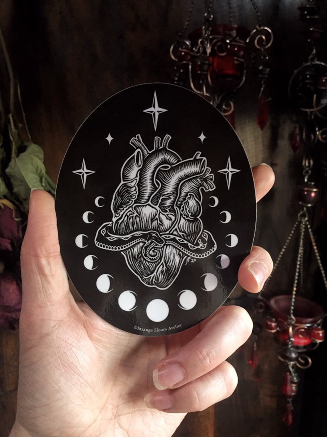 Lunar Ouroboros Anatomical Heart - Single 4x5" Vinyl Sticker - Etsy