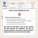 Circle of Control Workbook: Emotional Regulation, Mindfulness (PDF) - Etsy