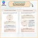 Circle of Control Workbook: Emotional Regulation, Mindfulness (PDF) - Etsy