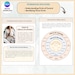 Circle of Control Workbook: Emotional Regulation, Mindfulness (PDF) - Etsy