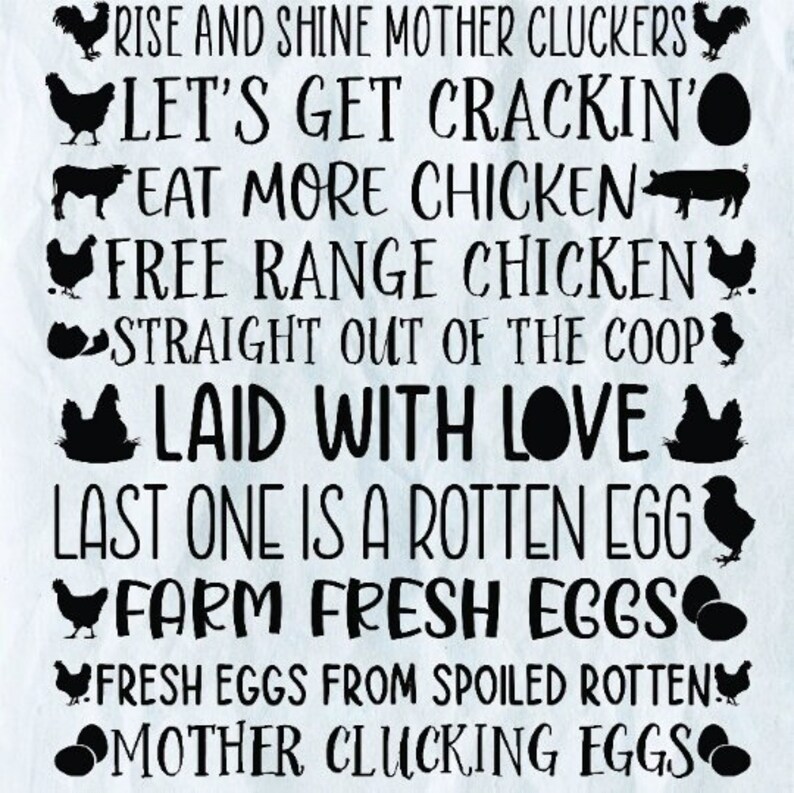 Egg Container Sayings Svg, Egg Svg, Farm Fresh Eggs Svg, Chicken Egg ...
