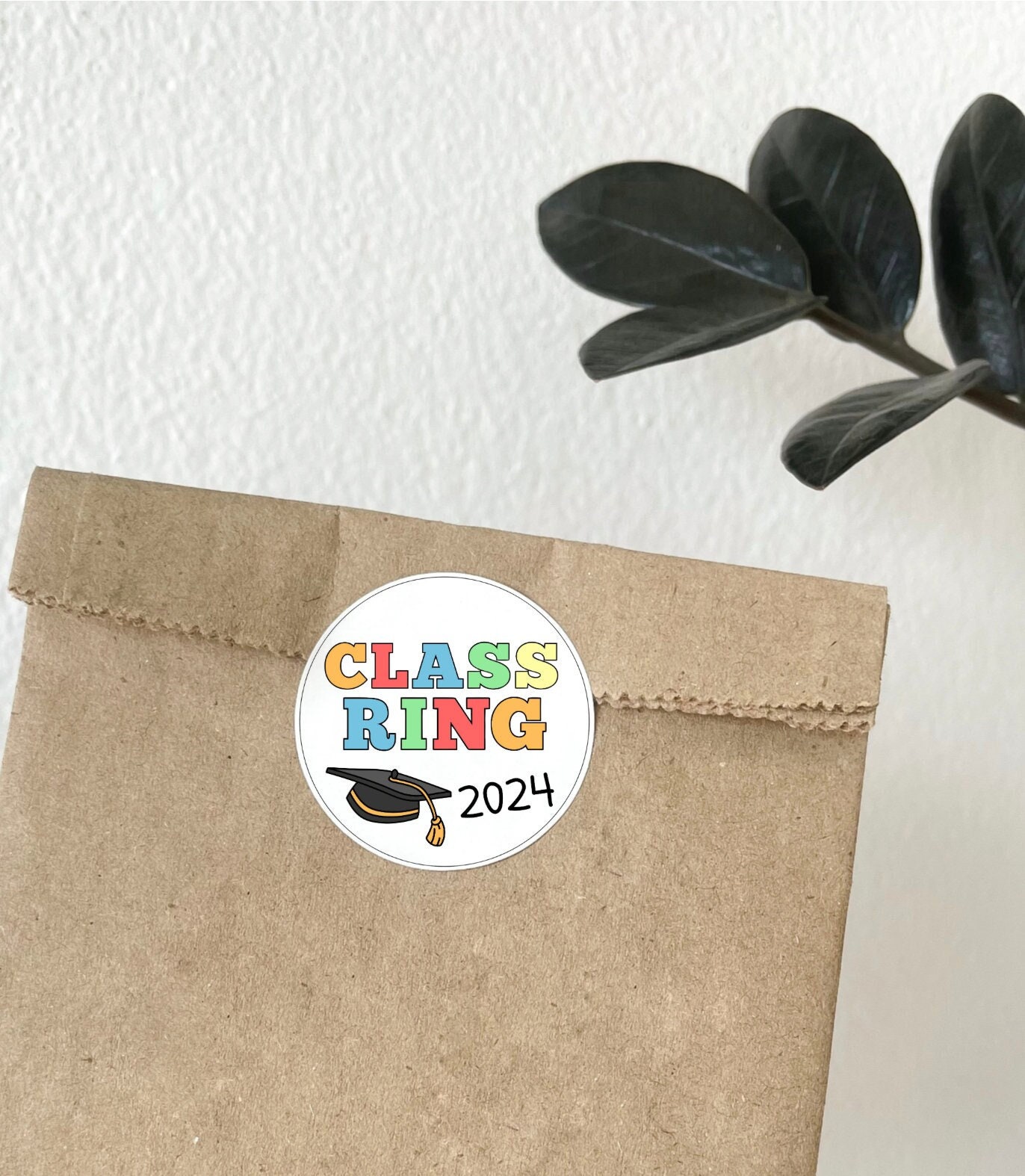 Class Ring Pop Sticker Template: Class of 2025 (digital Download) - Etsy