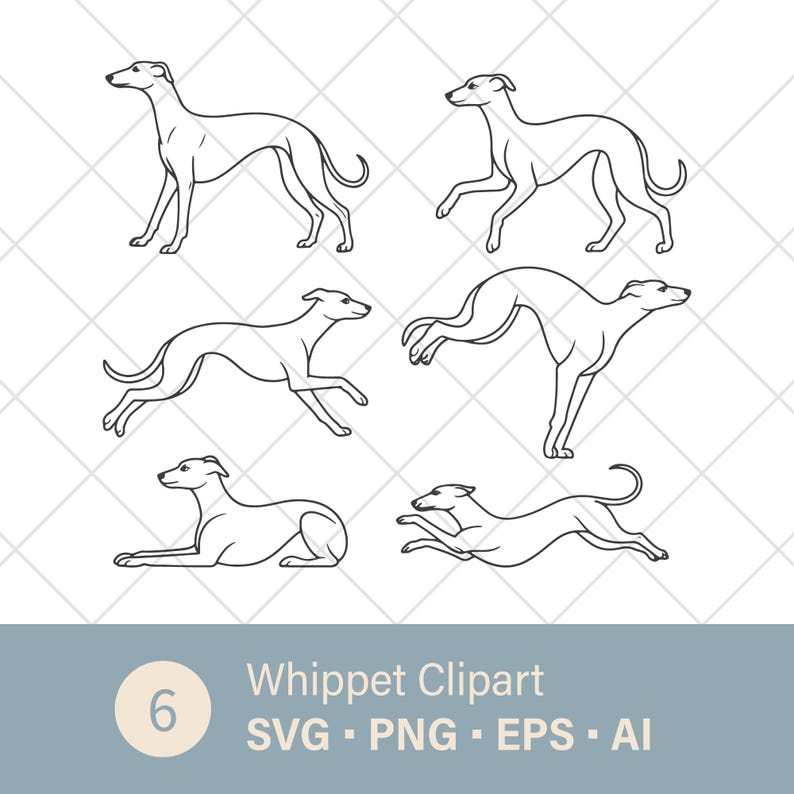 Whippet Clipart Pack — 6 Minimal Line Art Whippet Svg Png Eps Ai ...