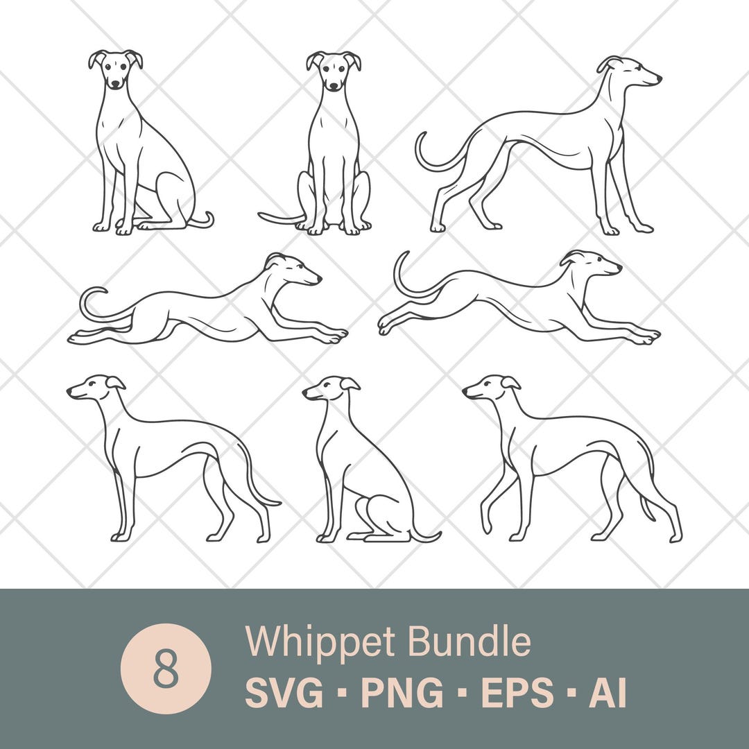 Whippet Clipart Bundle – 8 Whippet Poses Svg Png Eps Ai - Etsy