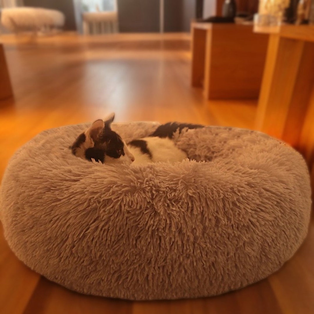 Cute Fluffy Donut Handmade Cat Bed Cosy Fluffy Cloud Cat Bed Fun Modern Cozy Cat Nest Fun Comfy ...