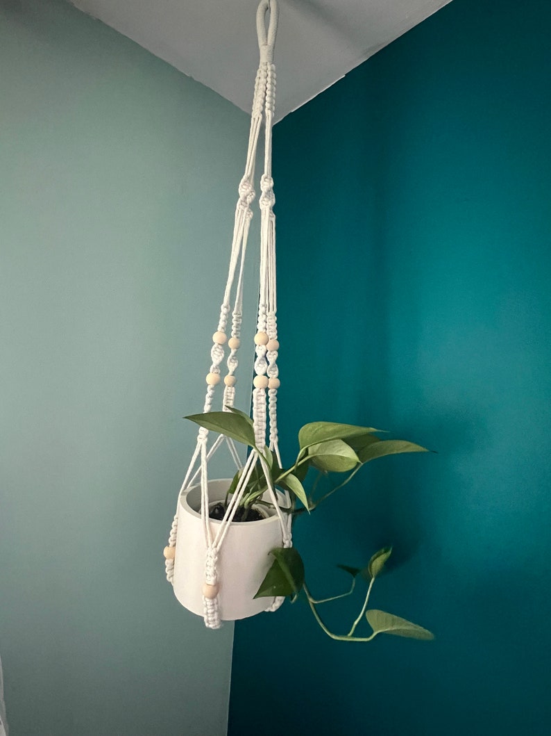 Macrame Planter Set Indoor Macramé Planter Concrete Planter Succulent ...