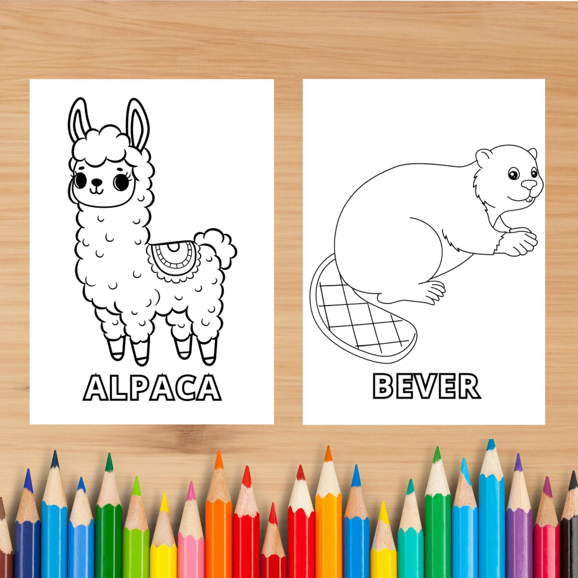 150 Animal Coloring Pages With Names Fun Printable Designs for Kids to ...