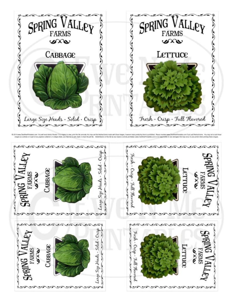 Primitive Cabbage Lettuce Printable Farmhouse Labels Seed | Etsy