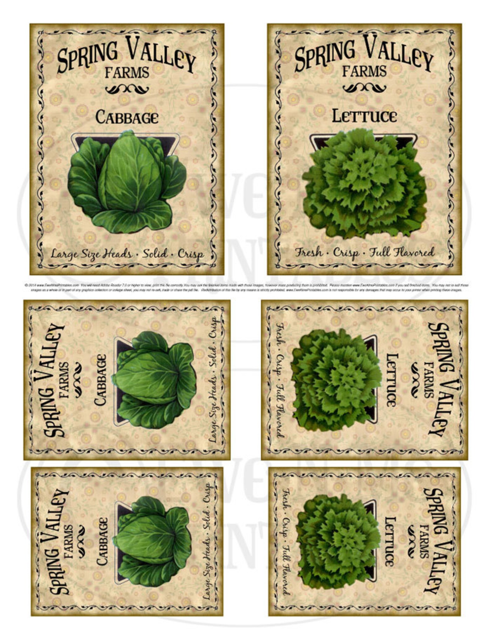 Primitive Cabbage Lettuce Printable Farmhouse Labels Seed | Etsy