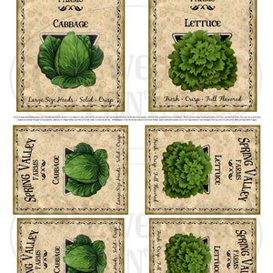 Primitive Cabbage Lettuce Printable Farmhouse Labels - Seed Pack Images ...