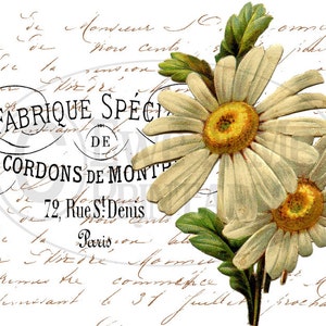 Printable French Country Wall Decor Cottage Daisy, Farmhouse, Printable ...