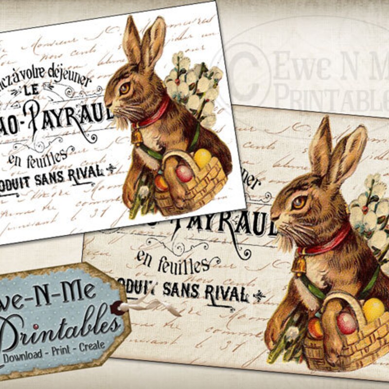 French Rabbit Image - Etsy