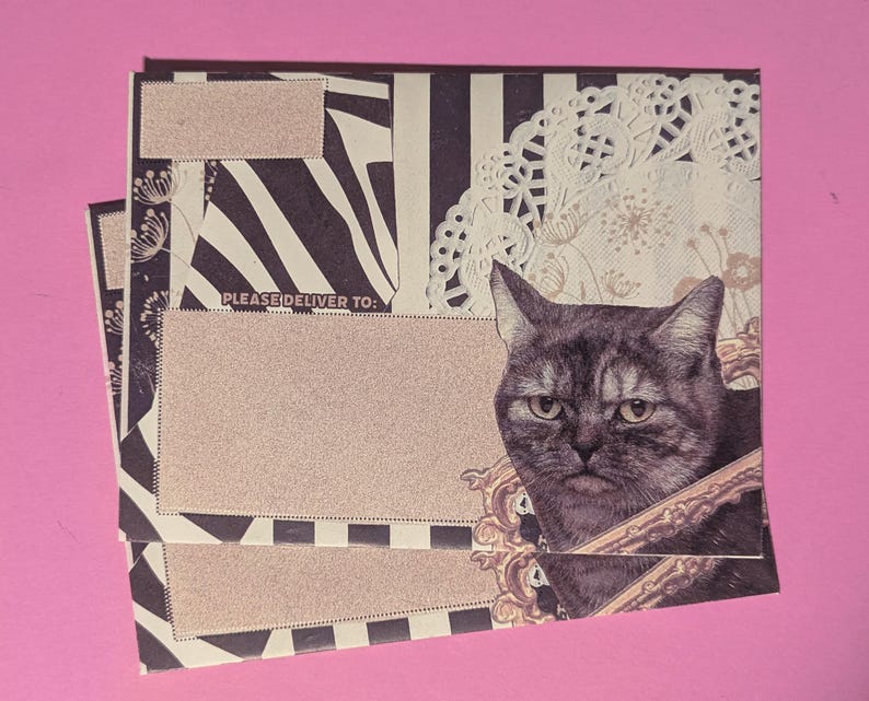 Collaged Cat Envelope Set - Etsy