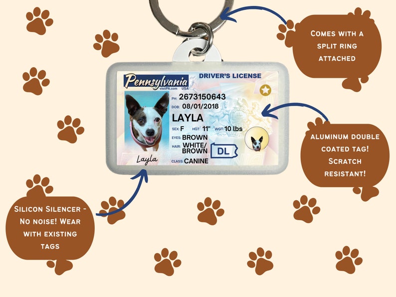 New York Pet Driver's License Personalized Driver's License Pet ID Tags ...