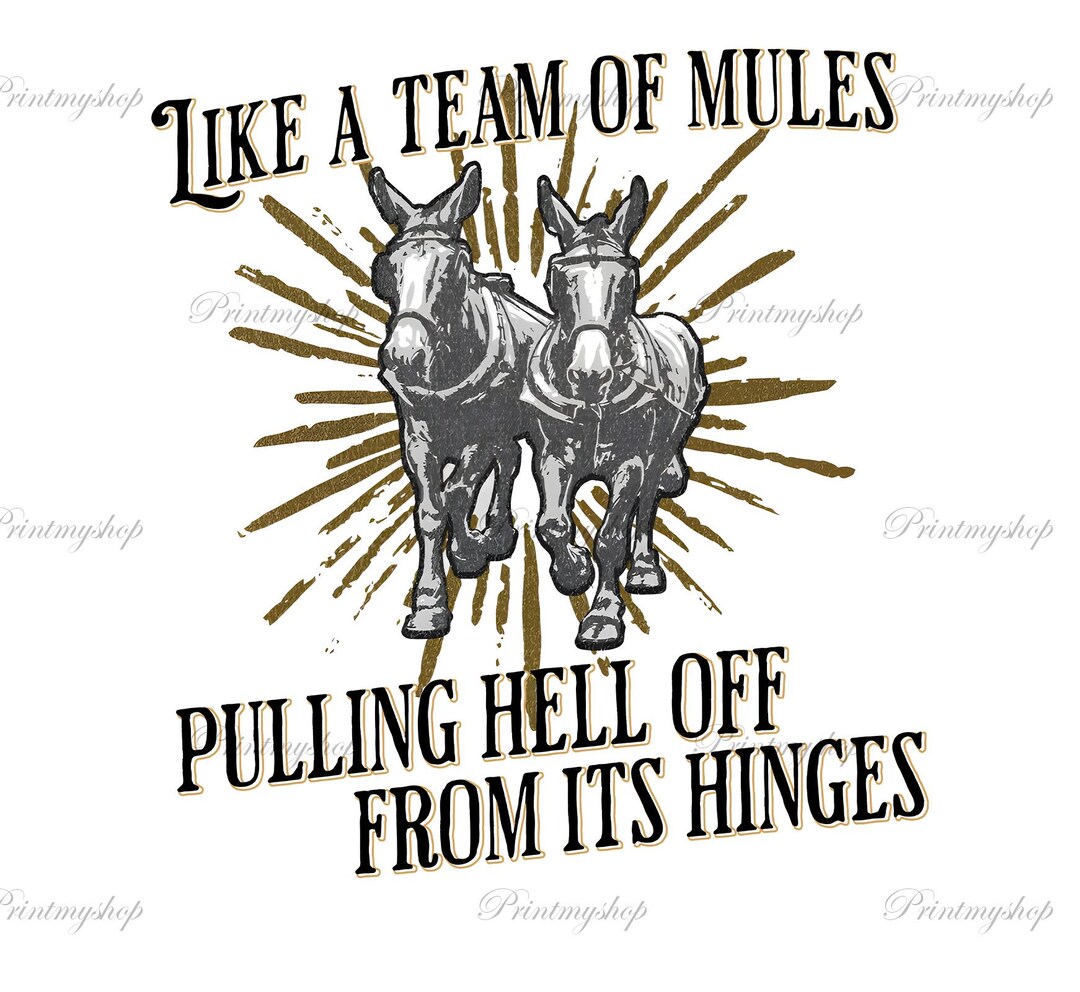Like A Team of Mules Png, Magic Wizard PNG, Wizarding World PNG ...