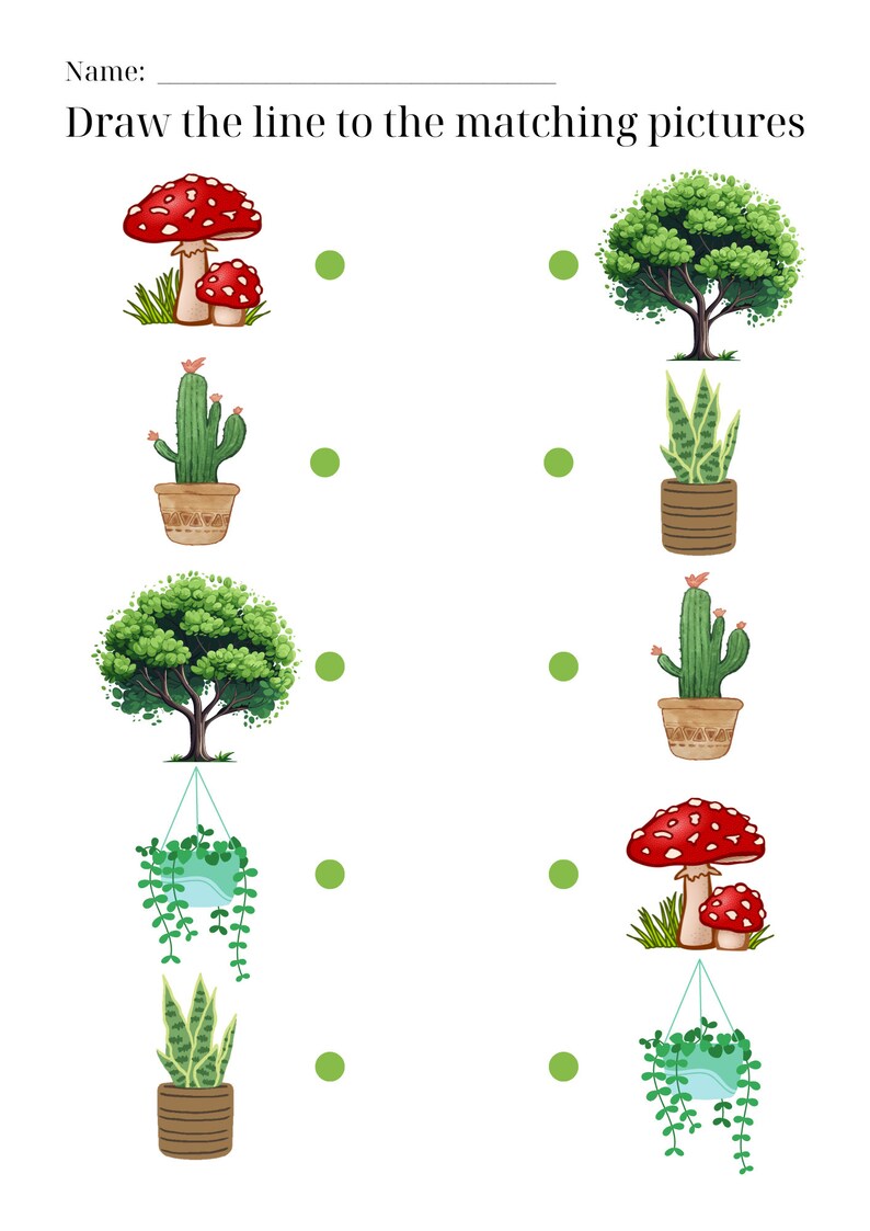 50 Printable Matching Worksheets, Match the Picture, Kindergarten ...