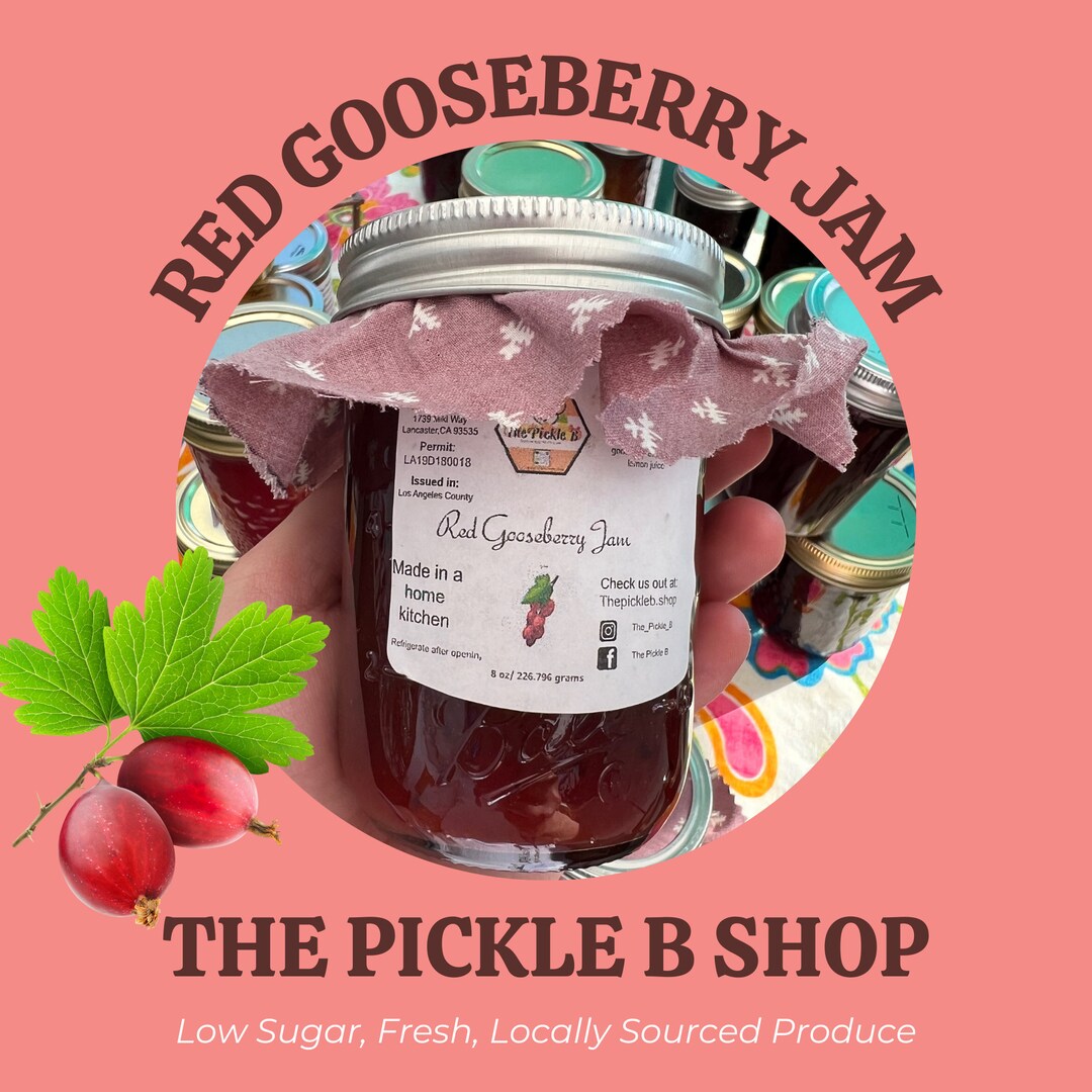 Red Gooseberry Jam 8 Oz., LOW SUGAR - Etsy