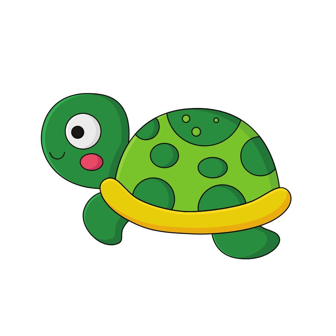 25 PNG Set 1 Cute Turtle Clipart Bundle, Turtle Graphics Designs ...