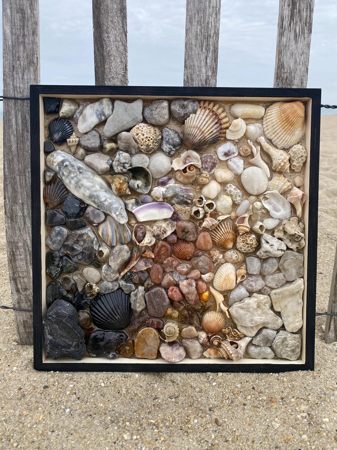 Shell Art, Seashell Art, Coastal Decor - Etsy