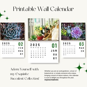 2025 Printable Minimal Personal Wall Calendar Cactus & Succulents ...