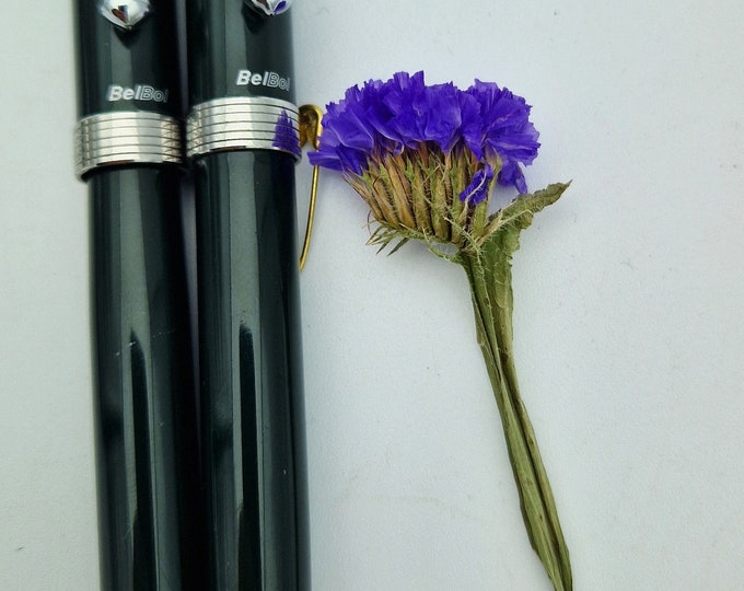 German Pen BELBOL Iridium Point, a Set of Fountain and Ballpoint Pens ...