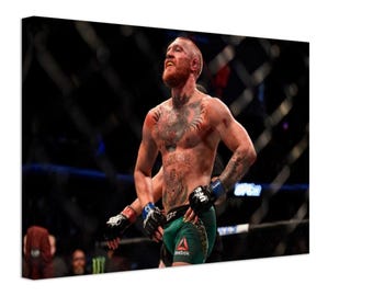 Conor Mcgregor Celebration Signed UFC Mitt Iconic Frame - Etsy