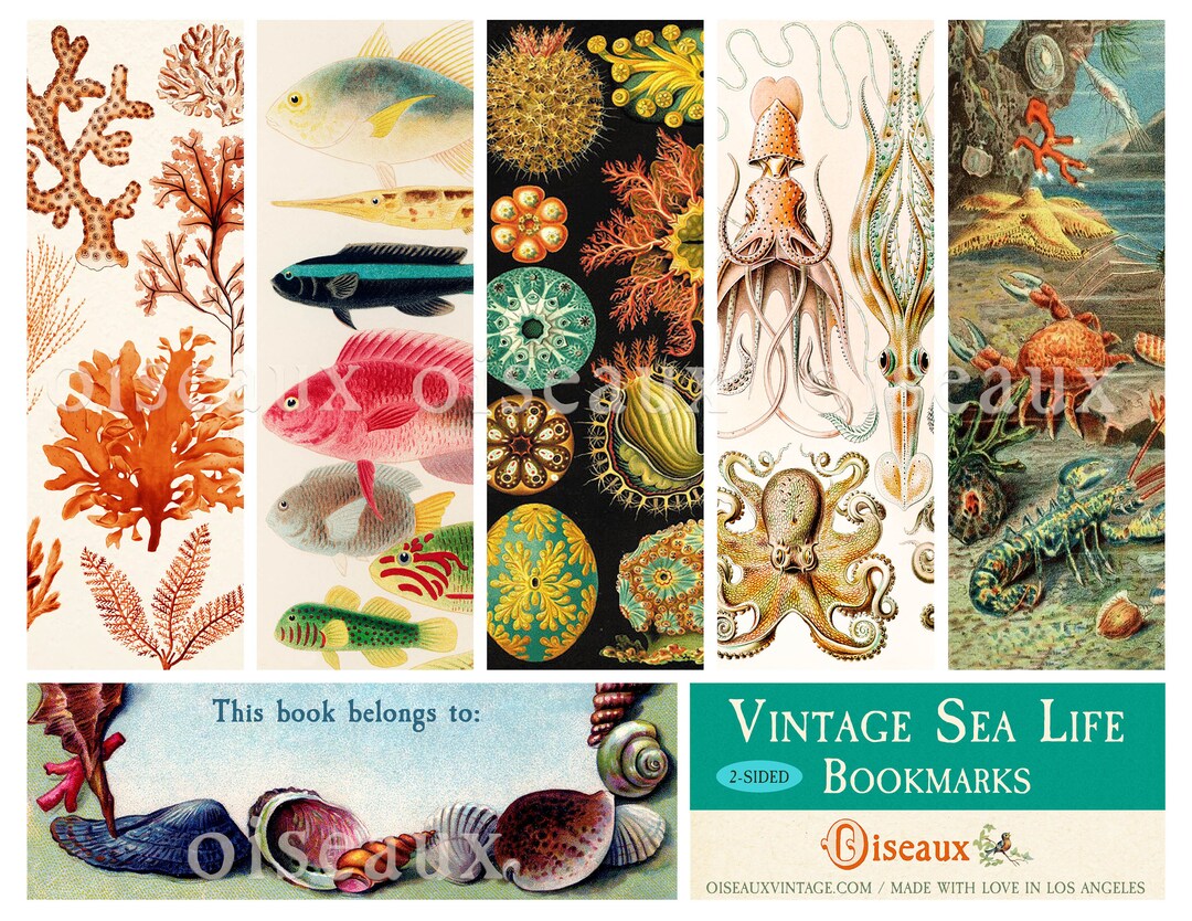 Printable Sea Life Bookmarks - Print Your Own Vintage Loveliness ...