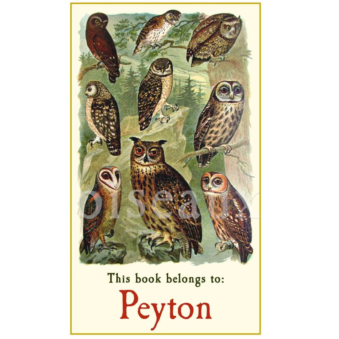 Vintage Owls Bookplates - Personalized Ex Libris - Set of 24 ...