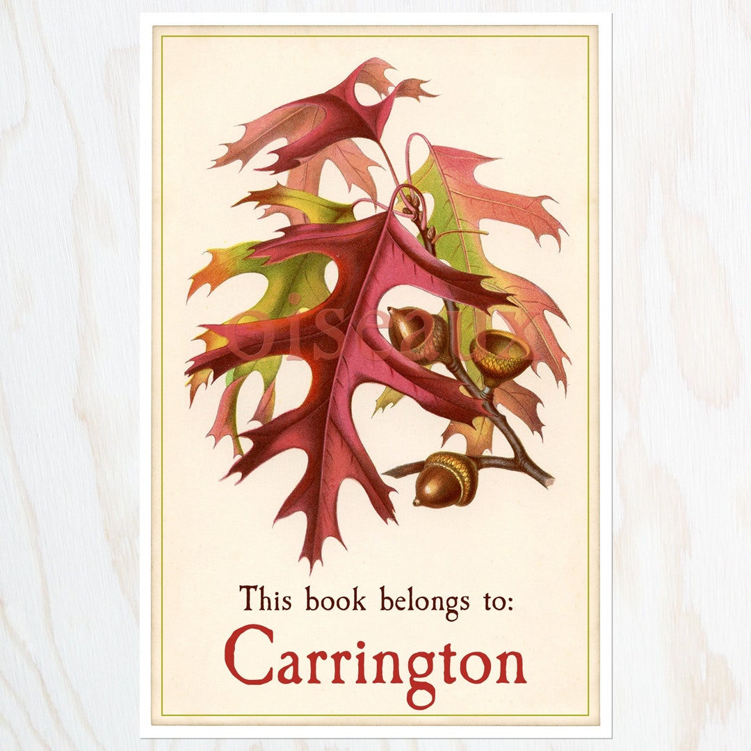 Autumn Leaves & Acorn Bookplates Personalized Vintage Ex Libris Fall ...