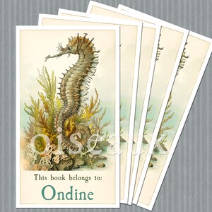 Seahorse Bookplates - Vintage Book Labels - Personalized Ex Libris ...