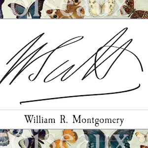 Author Bookplates - Space for Signature + Dedication - Personalized ...