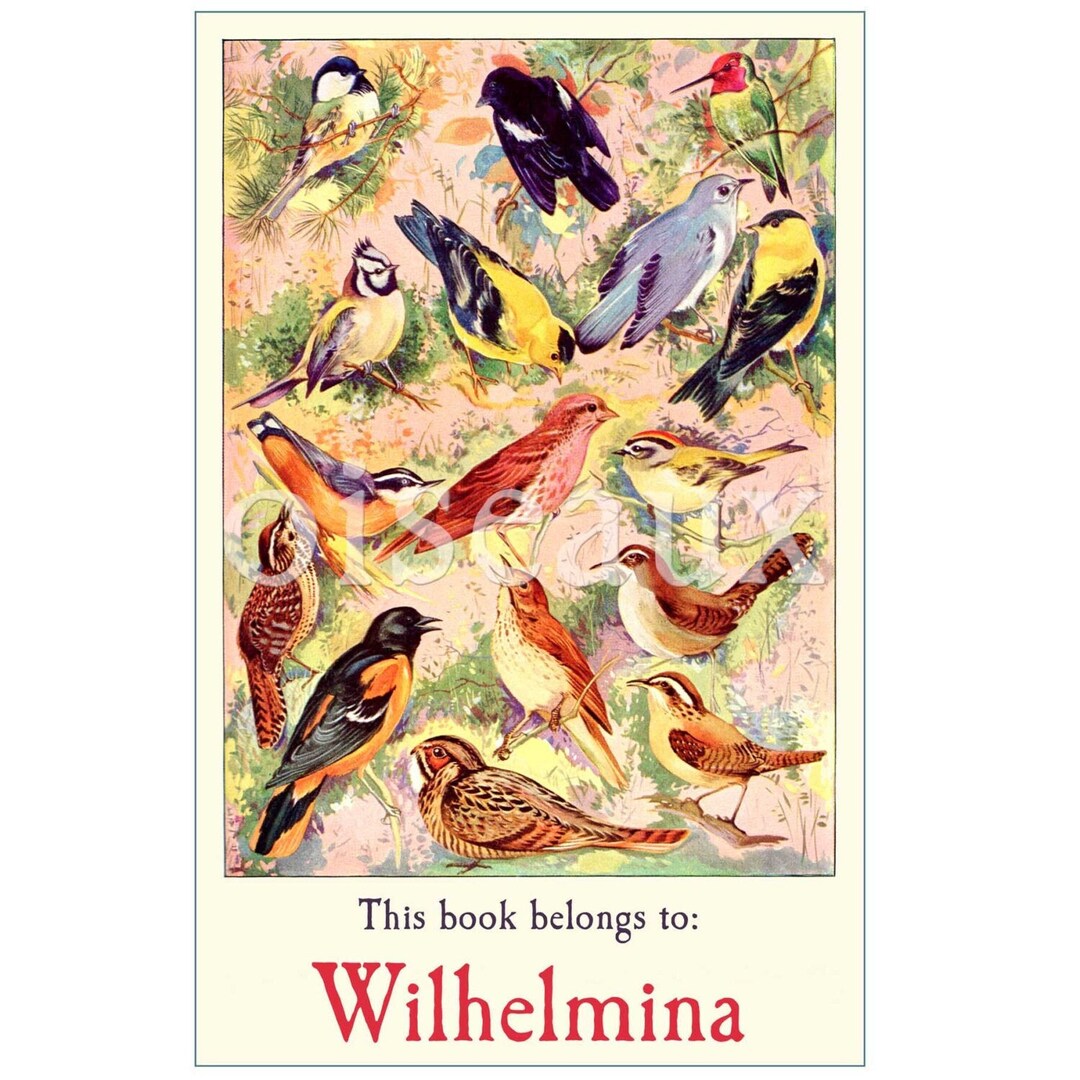 Spring Birds Bookplates Personalized Vintage Book Labels Perfect ...