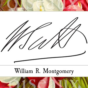 Author Bookplates - Space for Signature + Dedication - Personalized ...