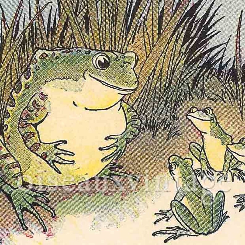Vintage Frogs Bookplates Personalized Book Labels Super - Etsy