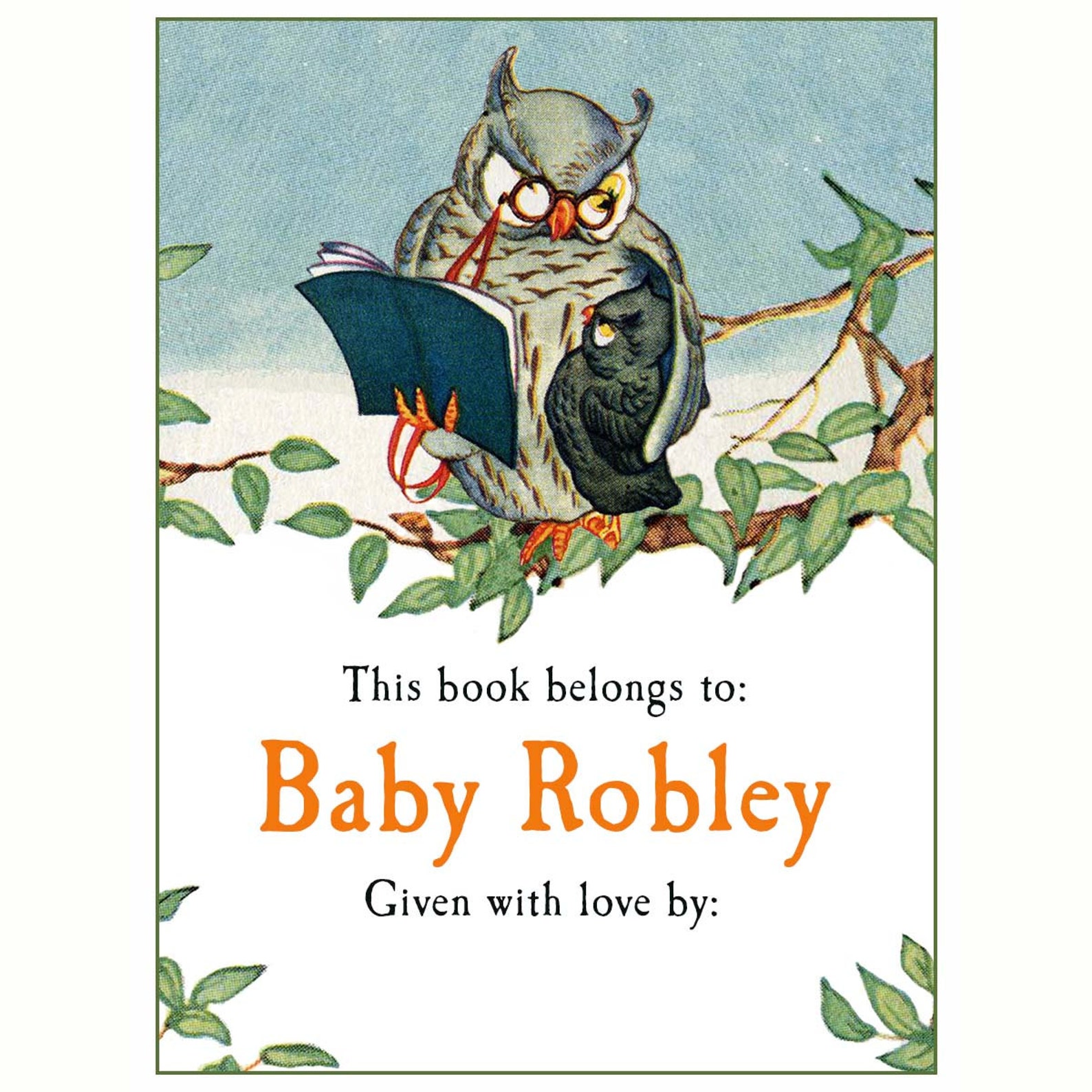 Baby Shower Personalized Bookplates Baby Owl Book Labels - Etsy