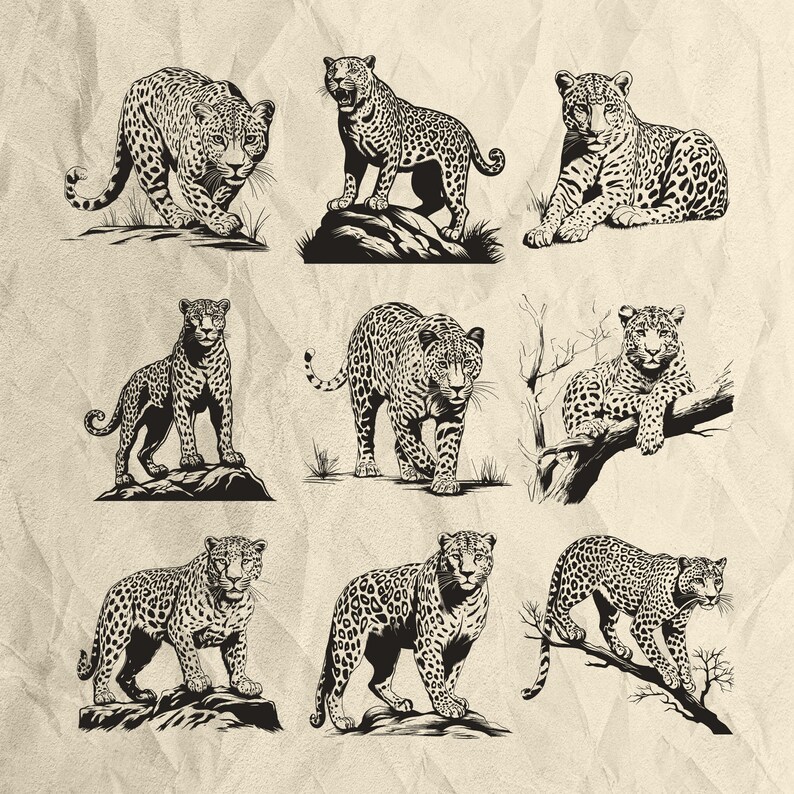 Leopard SVG Vintage Leopard Bundle 35 Vector Illustrations Svg, Eps, Ai ...