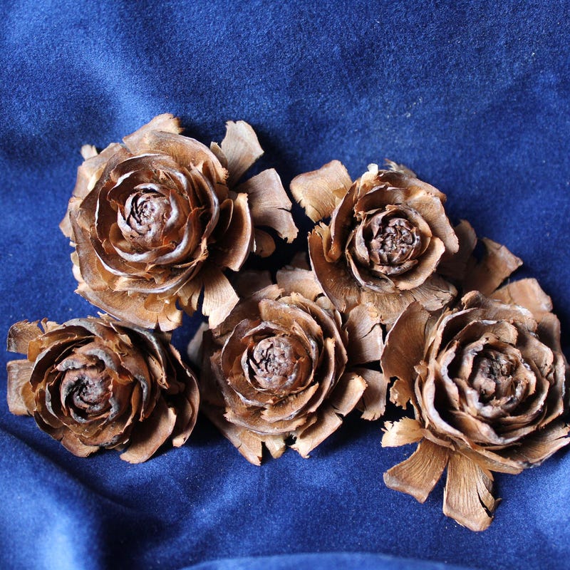 Cedar Roses - Etsy