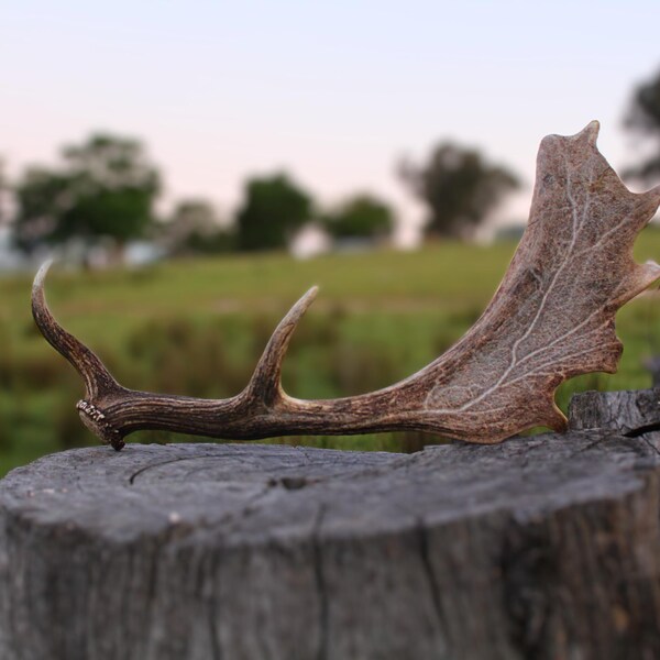 Deer Antler Wedding - Etsy