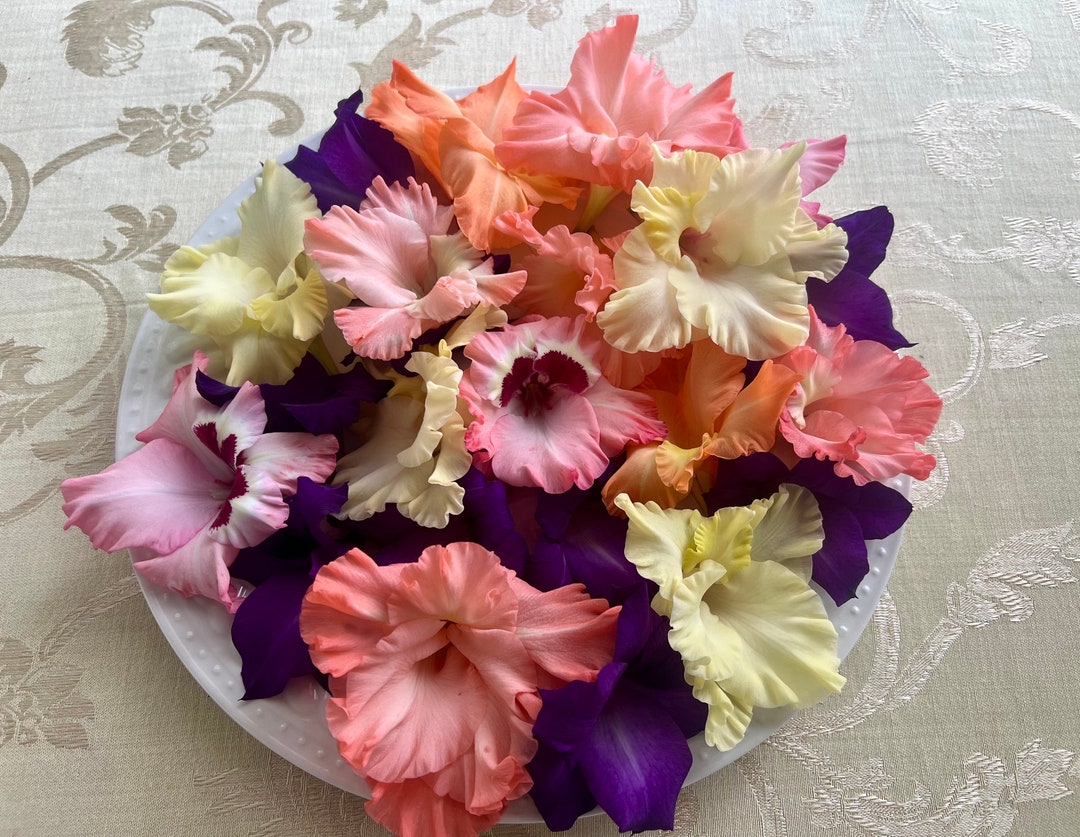 Fresh Edible Garnish Flowers-gladiolus - Etsy