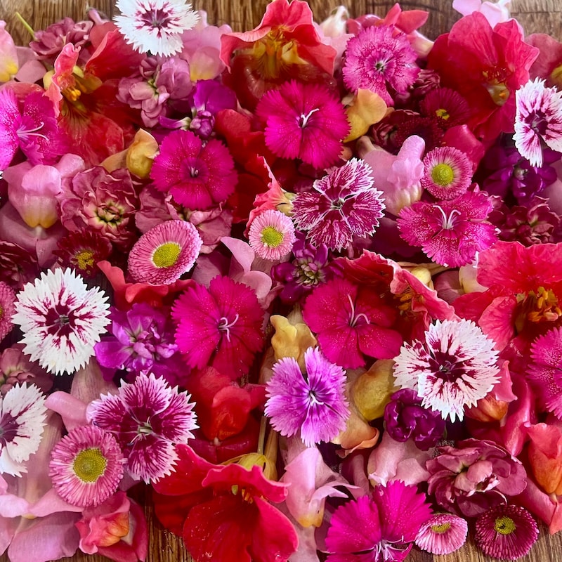 Edible Pink Flower - Etsy