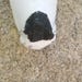 Therian Huskey Mask, Halloween, Party, Kids, Adults - Etsy
