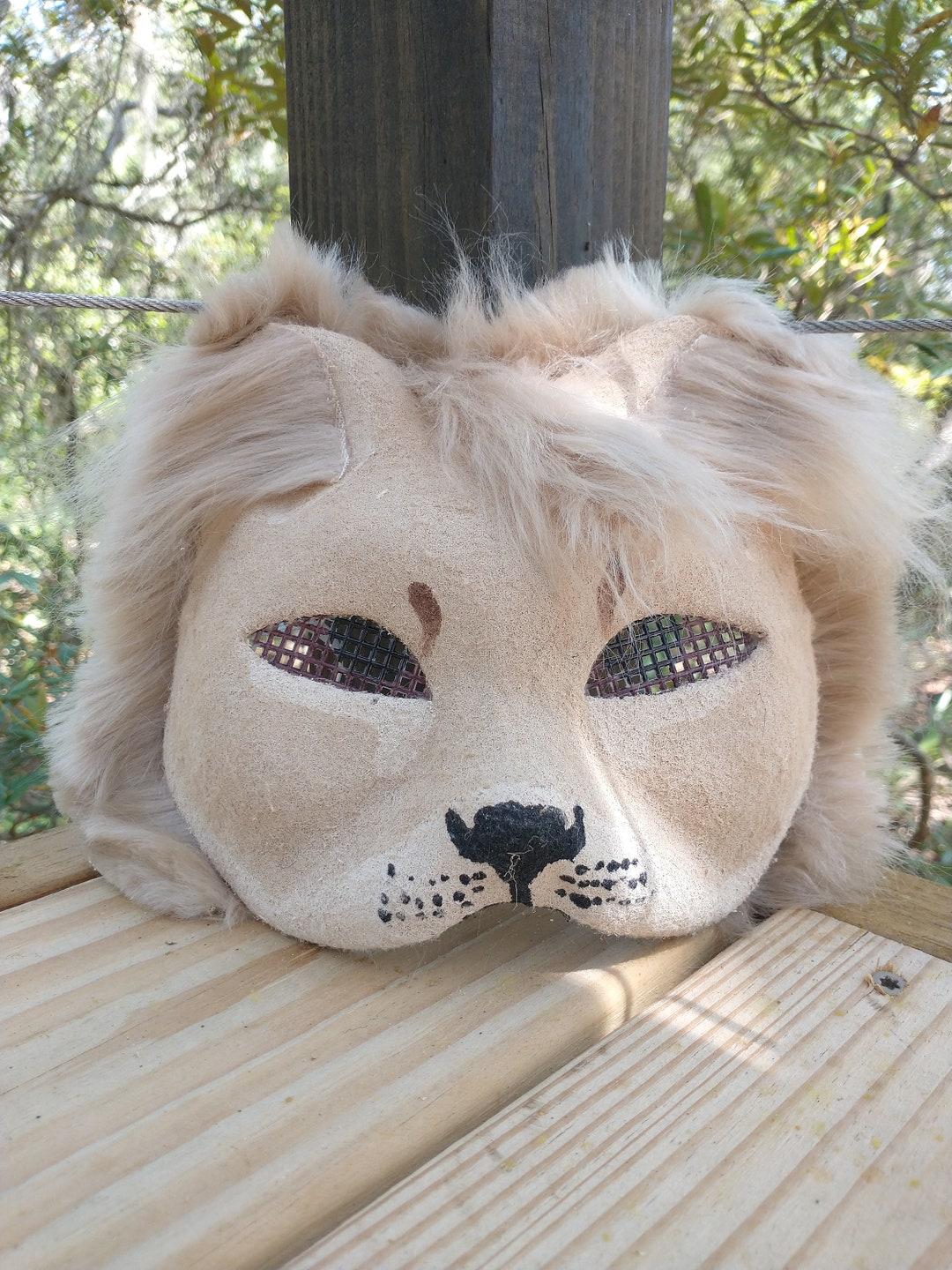Lion Mask Craft