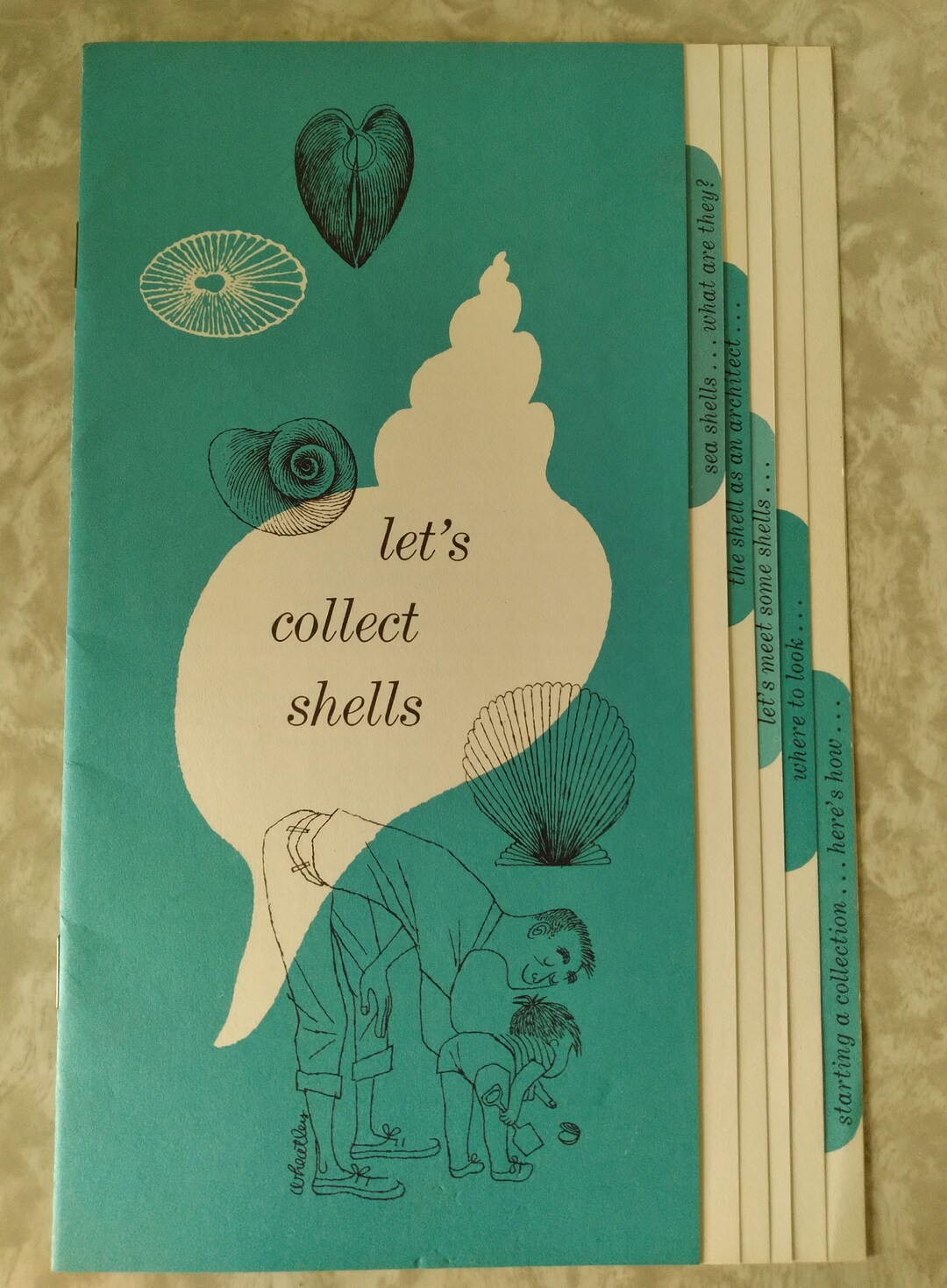 Let's Collect Shells Pamphlet Produced by Shell Oil, 1956 - Etsy
