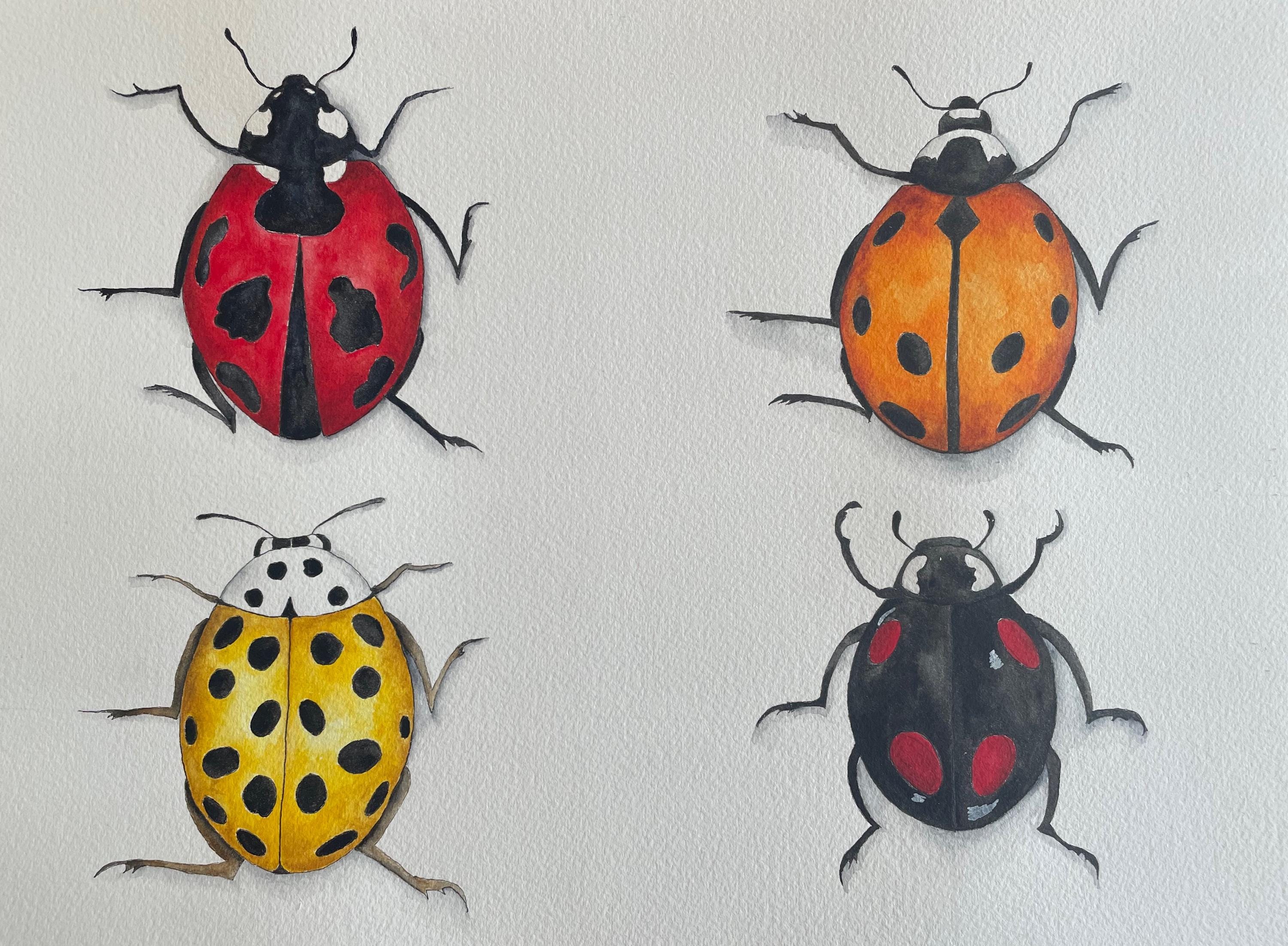 Ladybug Print | Ladybug Print Nursery Decor | Ladybug Watercolor Print ...