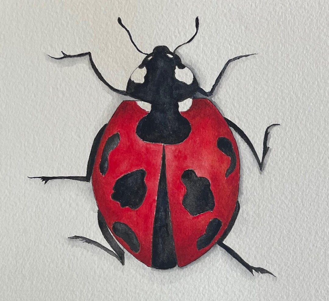 Lady Bug Series - Etsy Canada