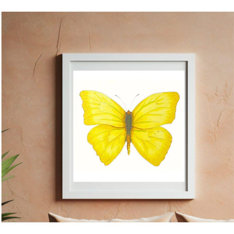 Yellow Butterfly Art Print | Butterfly Watercolor Art Print - Etsy