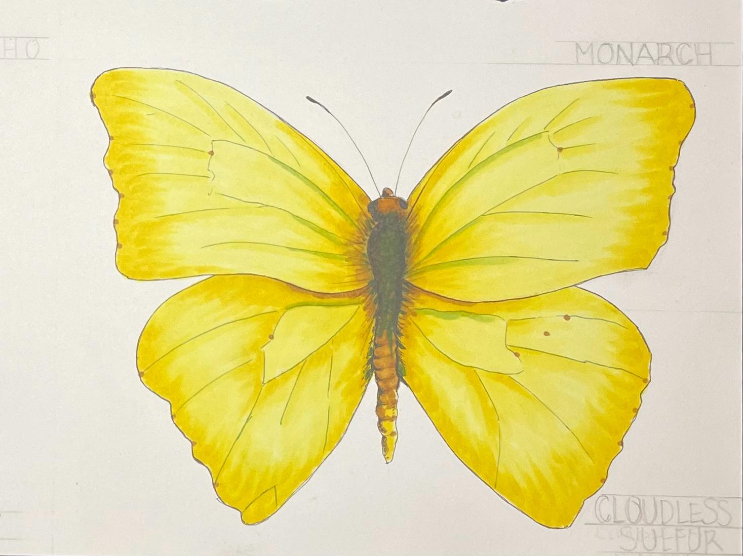 Yellow Butterfly Art Print | Butterfly Watercolor Art Print - Etsy